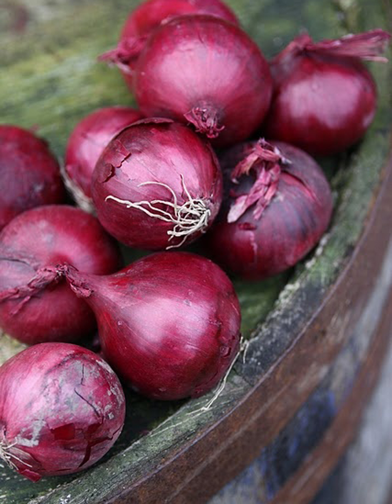 Oignons rouges - Essayez les légumes violets ! - Elle à Table