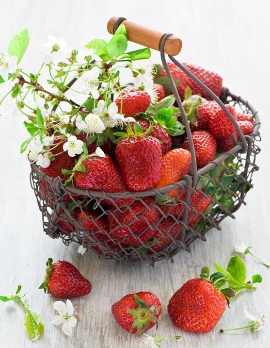 Fruits et légumes de saison avril : fraise ciflorette - Quels fruits et ...