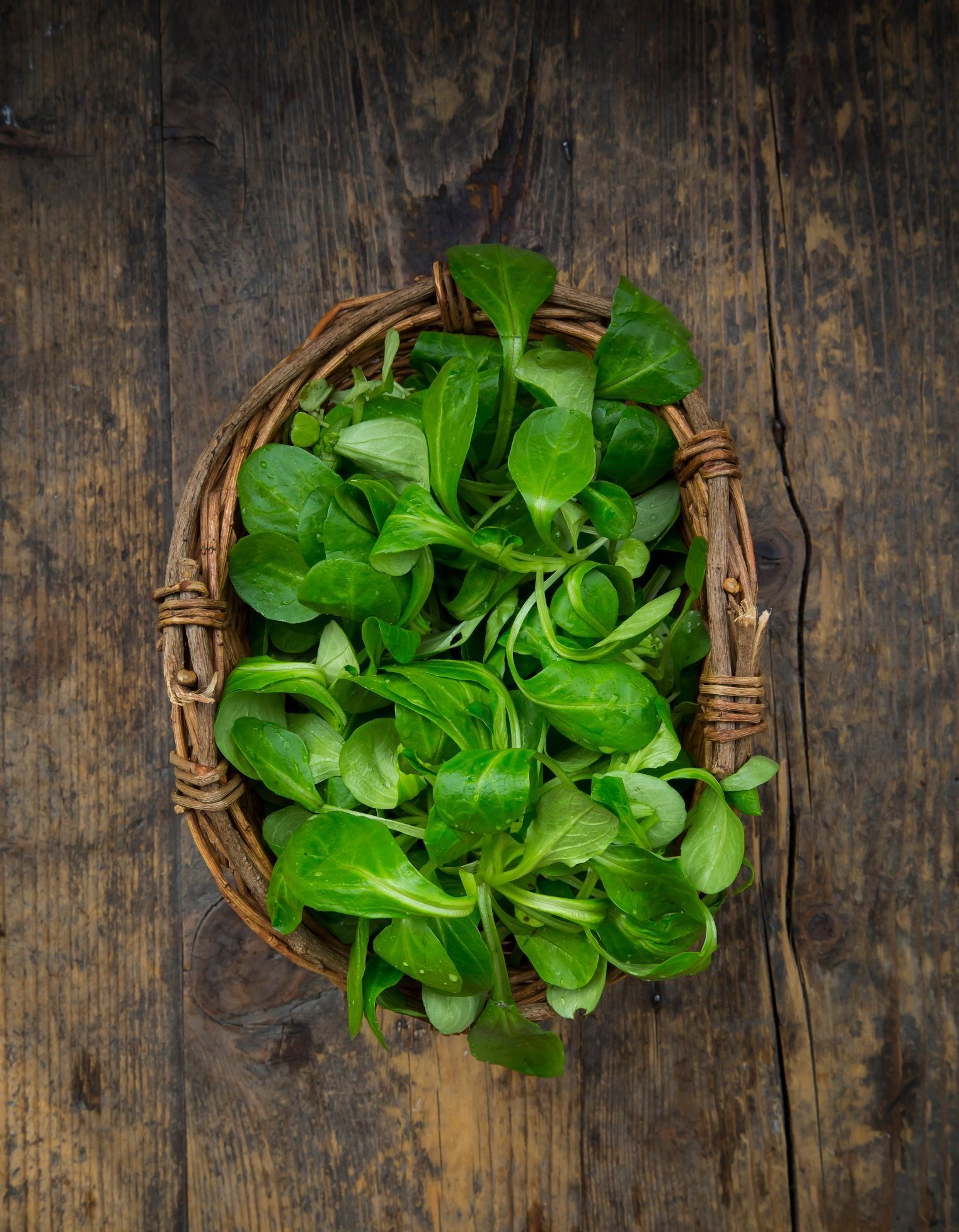 Mâche - Quels fruits et légumes de saison en février ? - Elle à Table