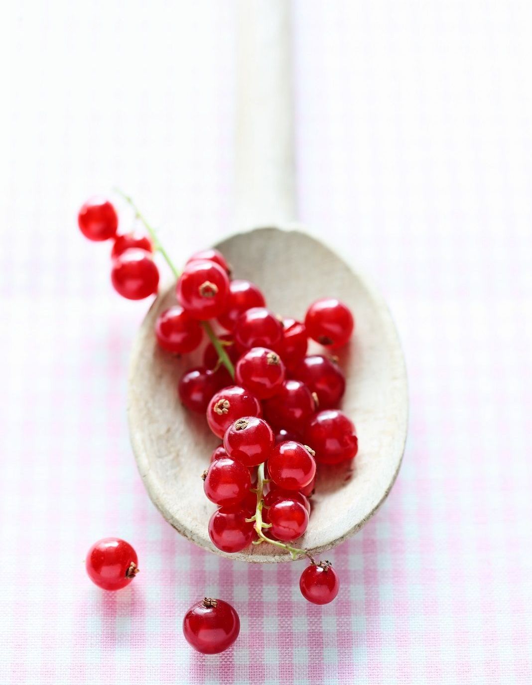 La groseille - Quels fruits et légumes de saison en juin ? - Elle à Table