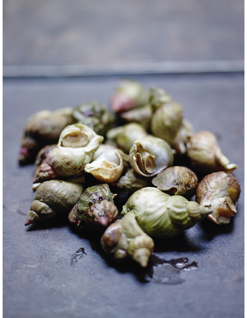 Bulots - Le buffet froid de la mer de Gaël Orieux - Elle à Table