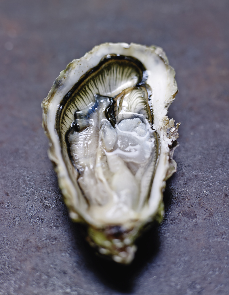 Huitre Creuse - Le buffet froid de la mer de Gaël Orieux - Elle à Table