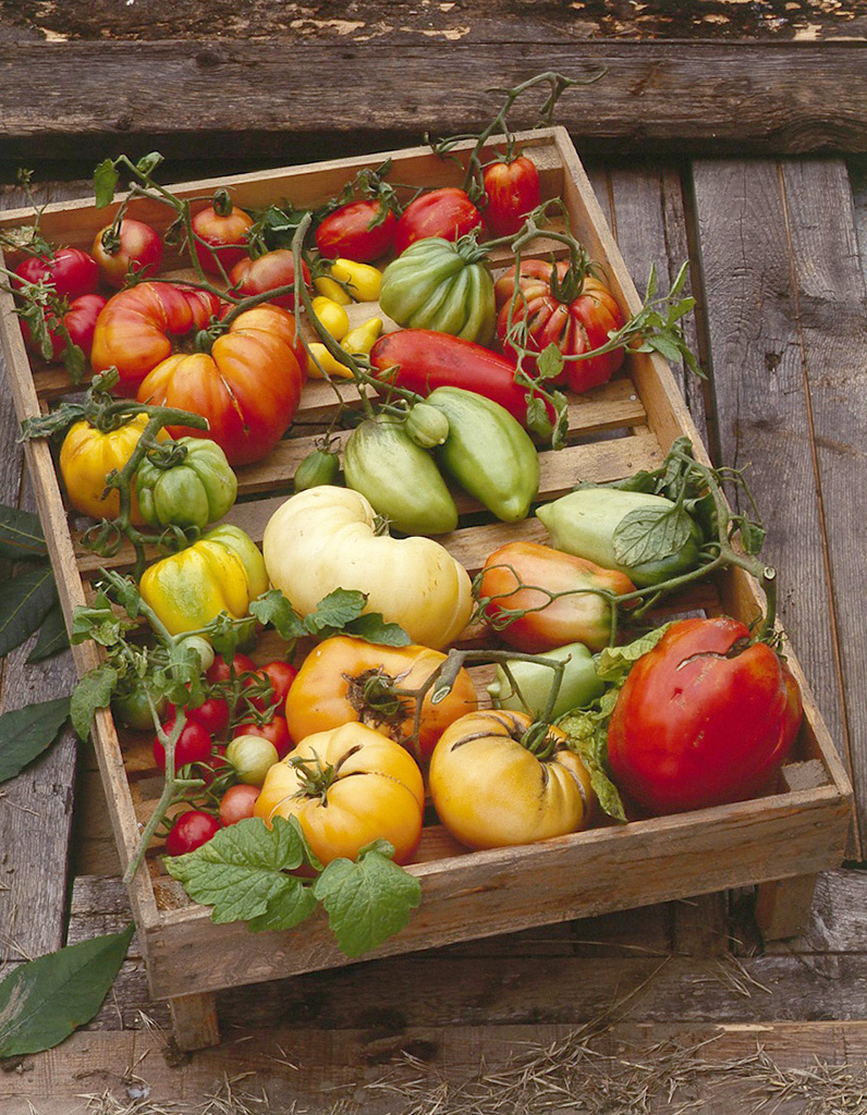 Ses légumes - Les trucs de... Beena Paradin - Elle à Table