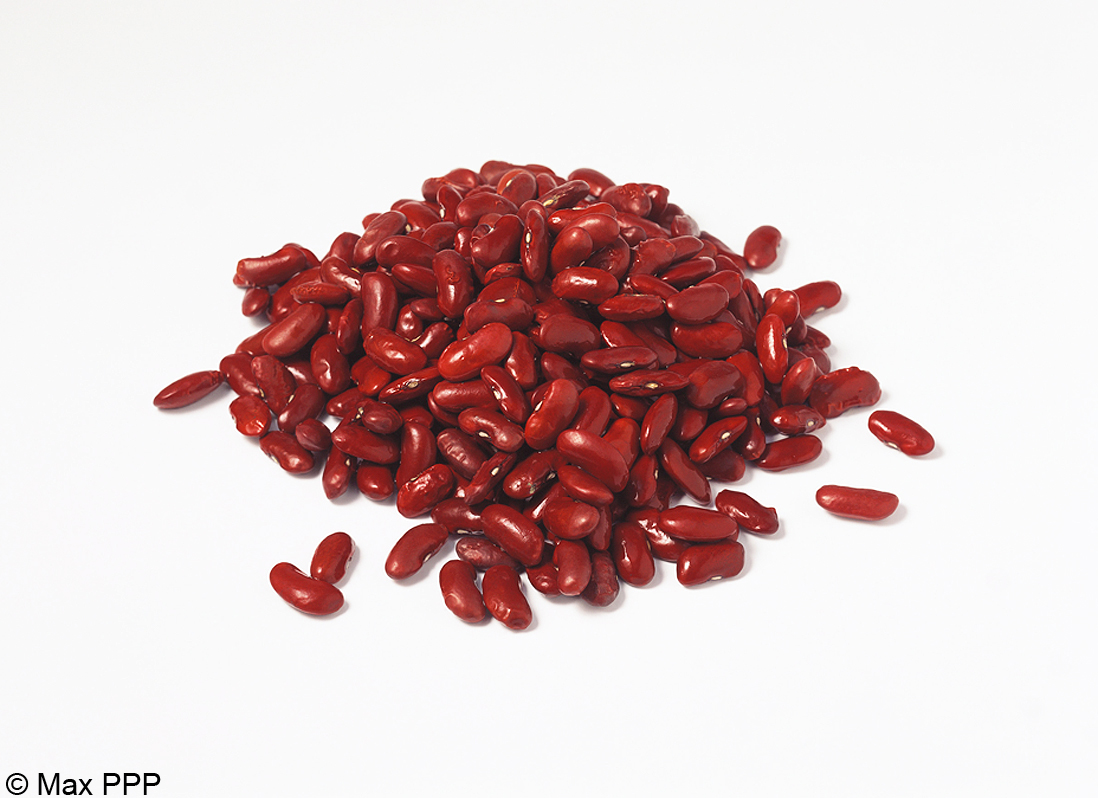 Les haricots rouges - Une cantine mexicaine dans votre cuisine - Elle à ...