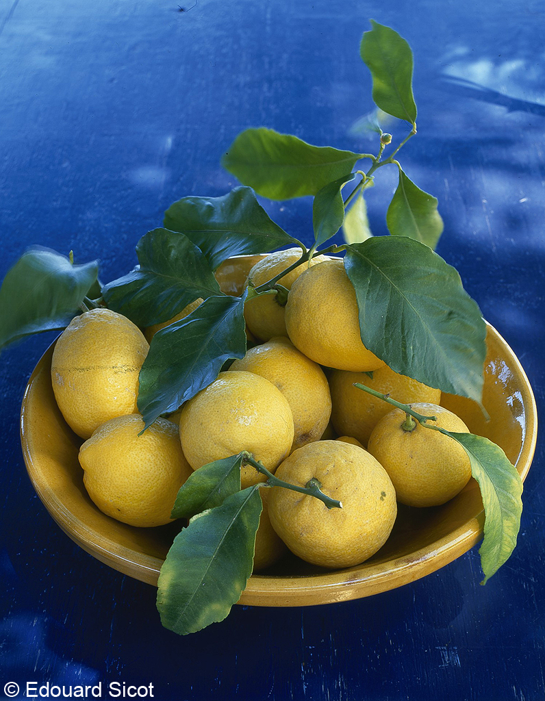 Dans le citron, tout est bon ! - Elle à Table