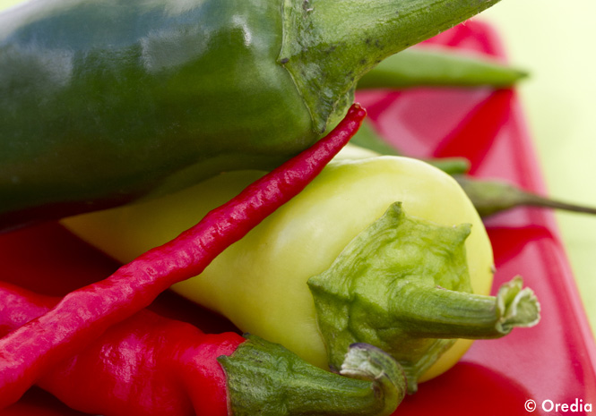 Les piments - Cap sur la cuisine mexicaine - Elle à Table
