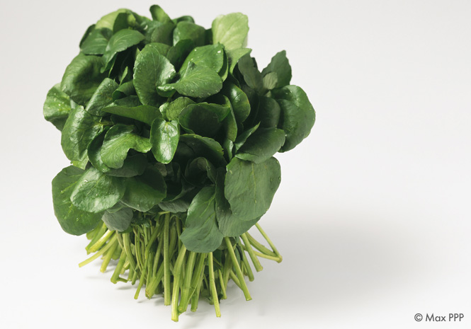 Le cresson - Les produits cultes d'Emmanuel Renaut - Elle à Table