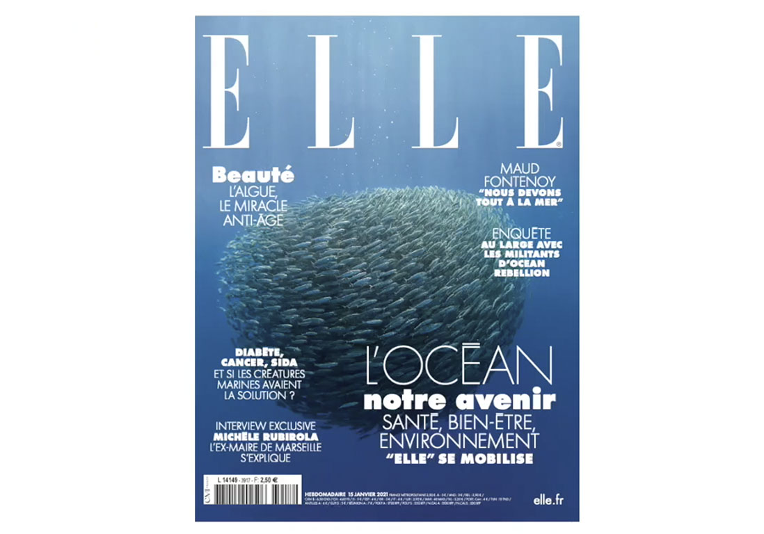 Elle Ocean's Instagram, Twitter & Facebook on IDCrawl