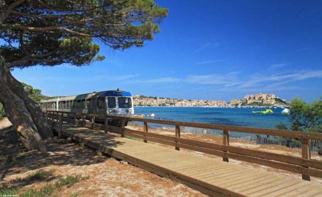 Arpenter la plage de Calvi - Que faire à Calvi : nos conseils pour un ...