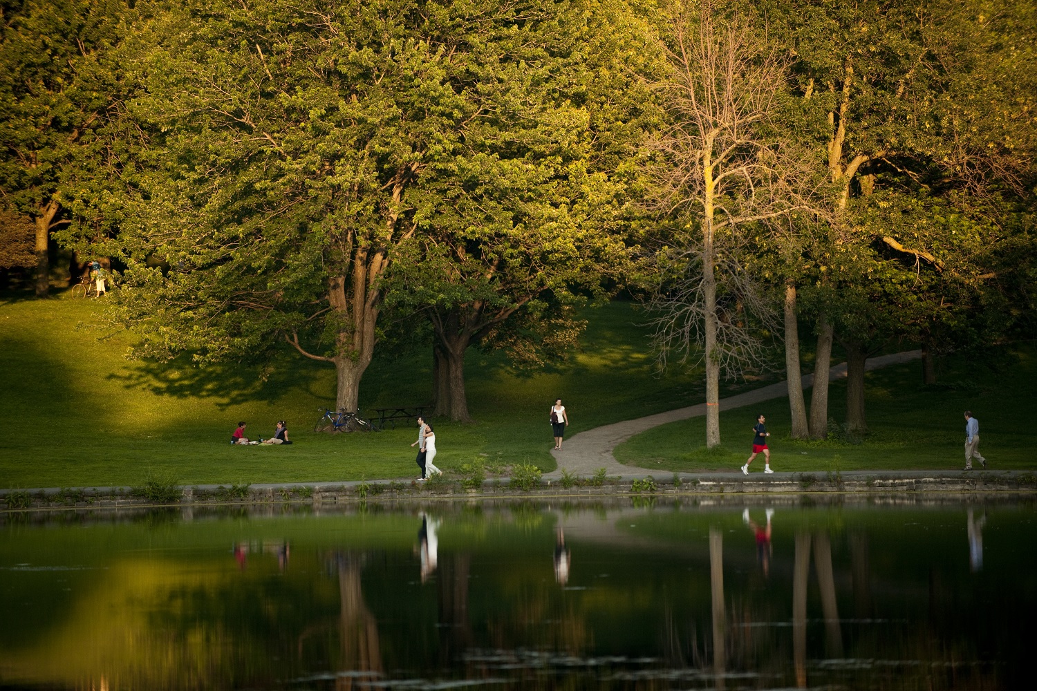Une promenade ? - Que faire à Montréal ? Les meilleures adresses pour ...