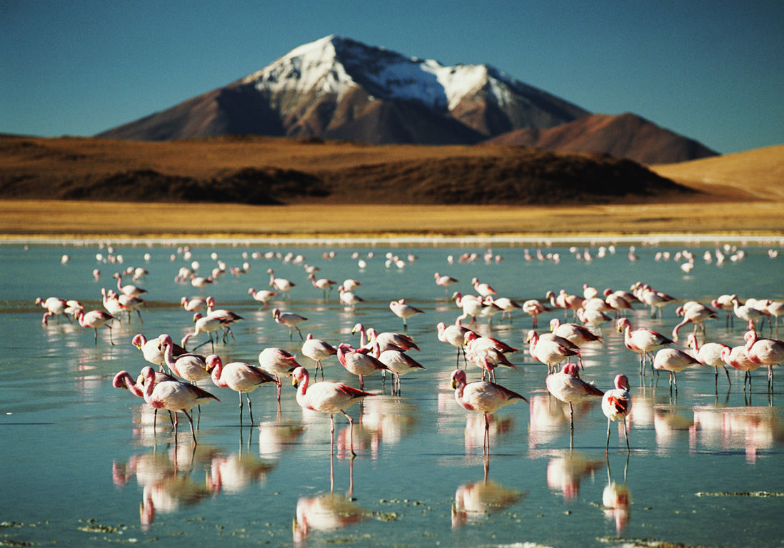 Le Chili - 10 destinations pour un road-trip entre amis inoubliable ...