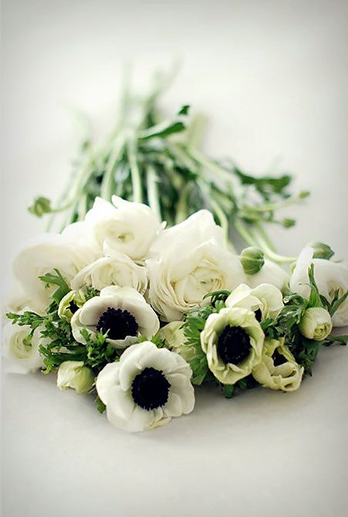 Bouquet de fleurs blanches et pivoines - 25 bouquets de fleurs blanches ...