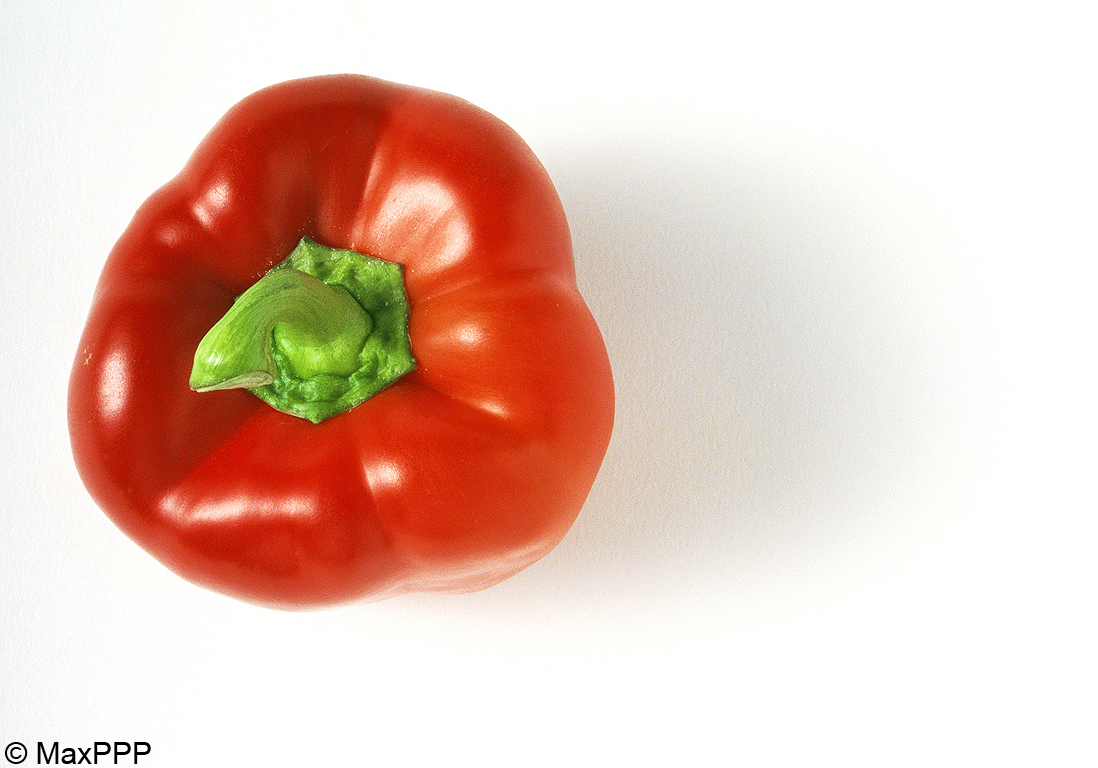 Poivrons rouges - Les aliments bien-être et plaisir de l’été - Elle