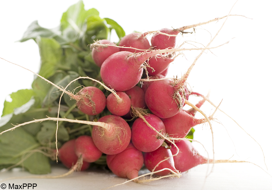 Radis - Les aliments bien-être et plaisir de l’été - Elle