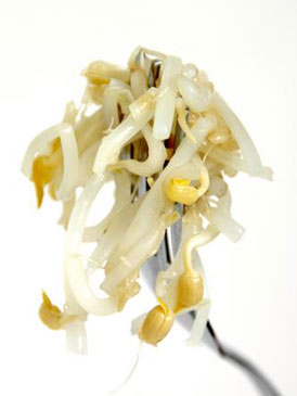 Calories Germes de soja - Elle