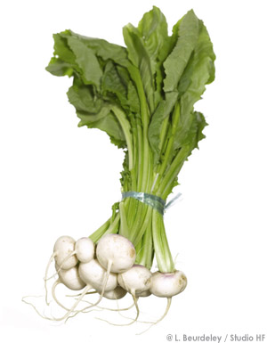 Le navet : un légume que l’on a tort d’oublier - Elle