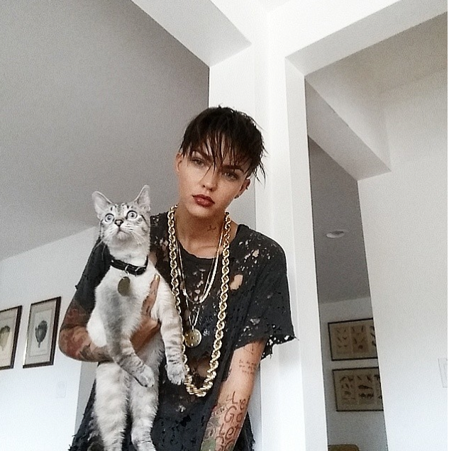 Une star des réseaux - Pourquoi Ruby Rose, la nouvelle détenue de ...